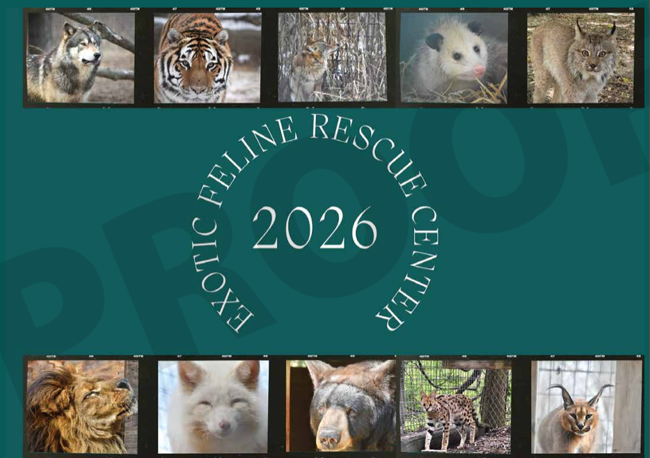 2026 EFRC Calendar – Exotic Feline Rescue Center