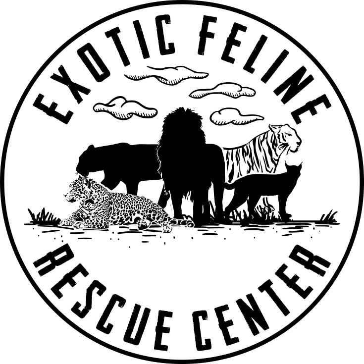 Logo Circle Sticker – Exotic Feline Rescue Center